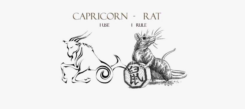 Capricorn Transparent Image - Scorpio Rat - Free Transparent PNG ...