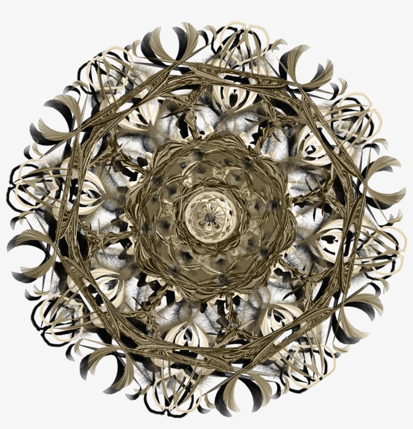 Stock.xchng - Free Transparent PNG Download - PNGkey