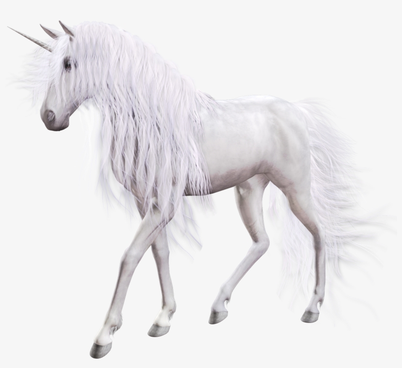 Transparent Background White Unicorn - Free Transparent PNG Download ...