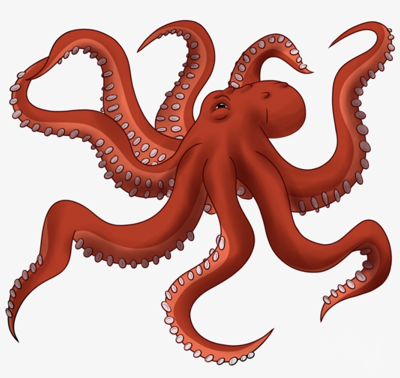 Octopus Png - Free Transparent PNG Download - PNGkey