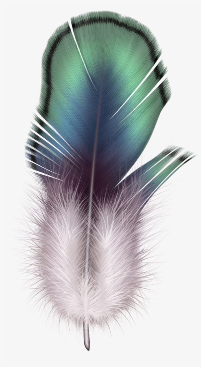 Яндекс - Фотки - Floating Feather Clipart Transparent Background - Free ...