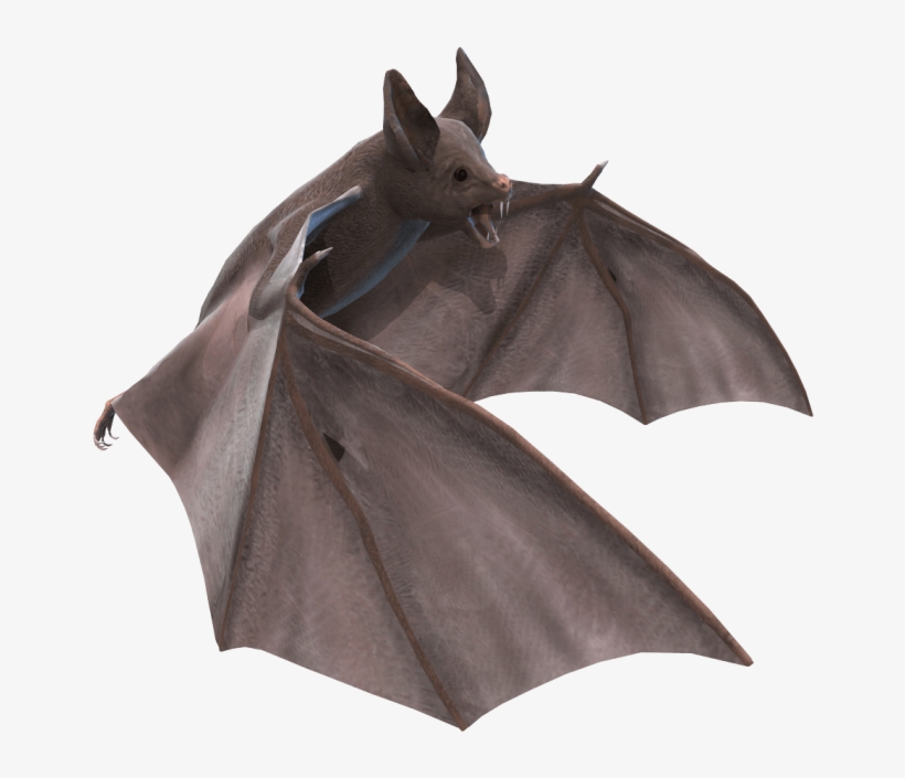 Vectors - Bat Png - Free Transparent PNG Download - PNGkey