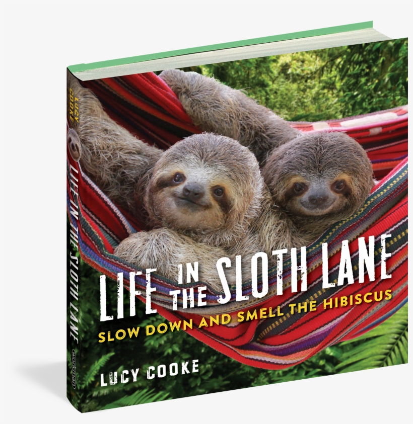Life In The Sloth Lane - Life In The Sloth Lane: Slow Down - Free ...