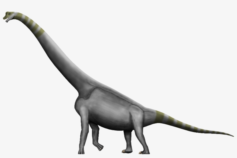 Brachiosaurus Transparent Png - Brachiosaurus Png - Free Transparent ...