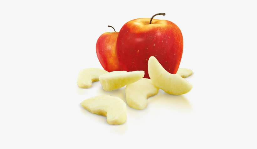 Free Sliced Apple Clipart
