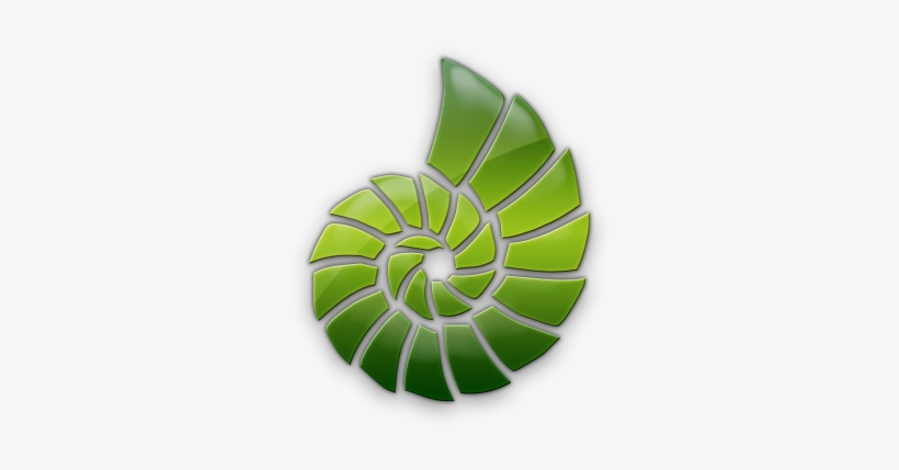 Green Sea Shells - Free Transparent PNG Download - PNGkey