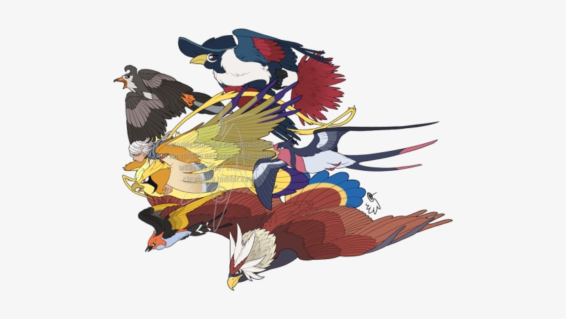 Pidgeot Shiny - Free Transparent PNG Download - PNGkey