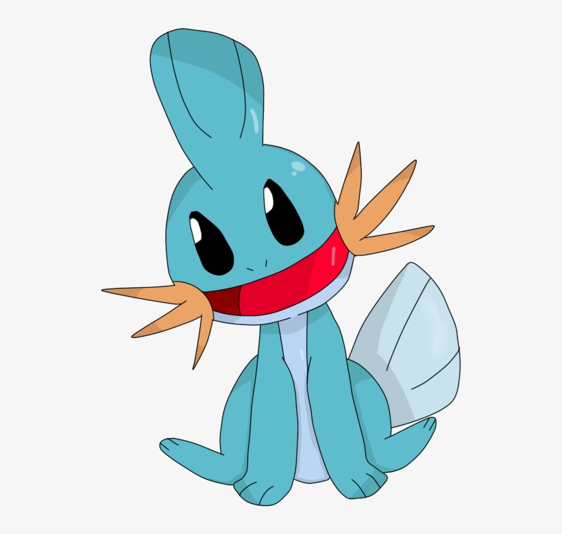 Mudkip - Cartoon - Free Transparent PNG Download - PNGkey