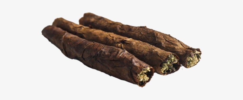Blunt Transparent Background