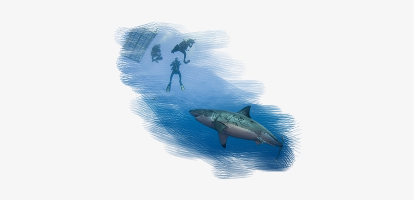 Jpeg - Free Transparent PNG Download - PNGkey