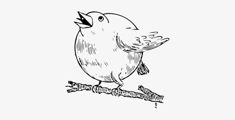 Round-robin Tournament Encapsulated Postscript Computer - Round Robin ...