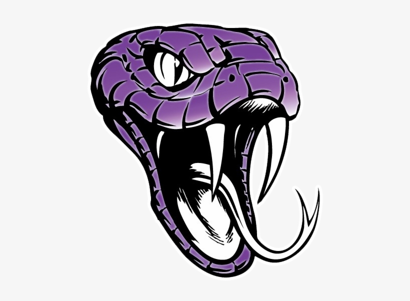 Century Athletics - Snake Head Clip Art - Free Transparent PNG Download ...