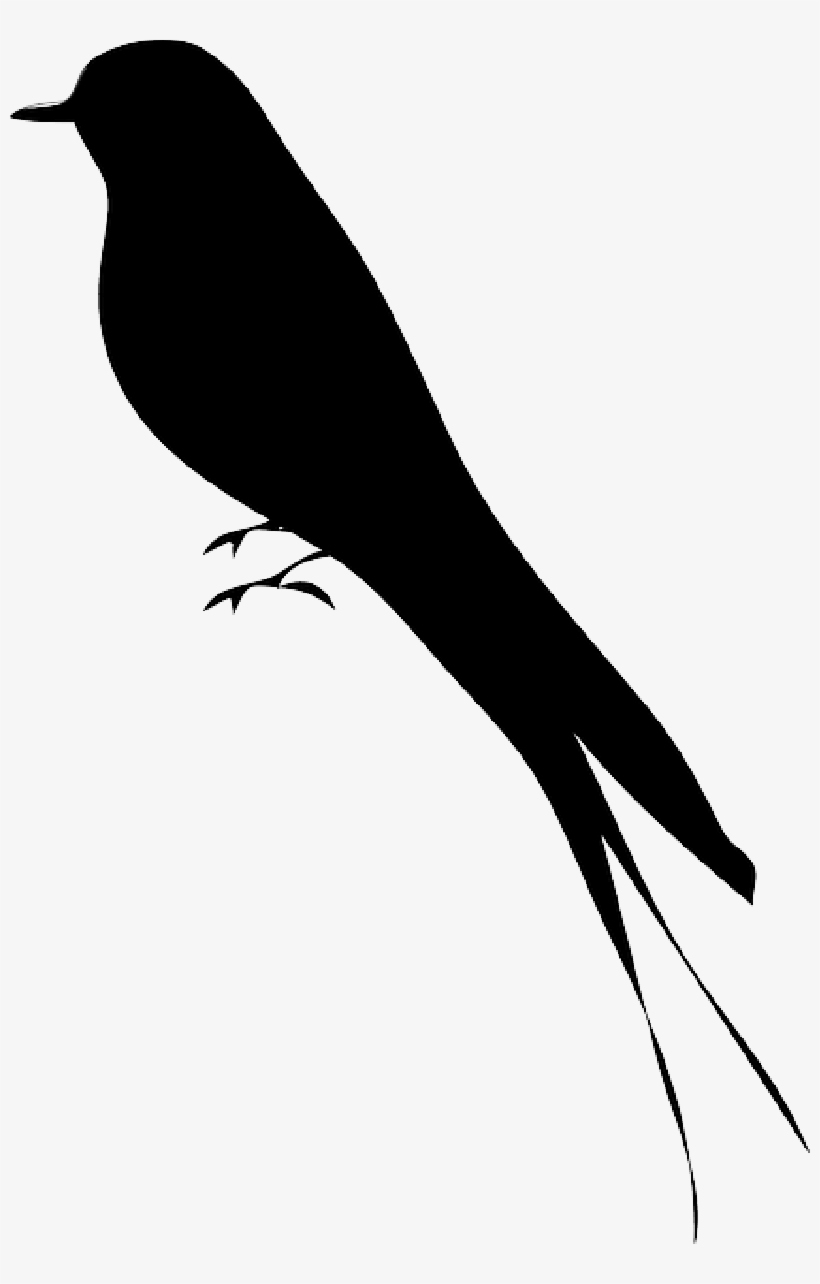 Silhouette, Tree, Cartoon, Birds, Bird, - Bird Silhouette - Free ...