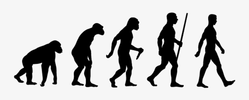 Anthropology - Evolution Of Fat People - Free Transparent PNG Download ...