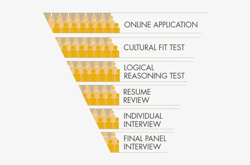 Internship Program Selection Process At Anheuser Busch - Graphic Design ...