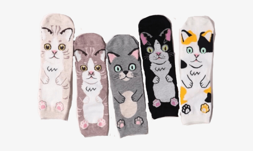 Cat Hug Socks - Sock - Free Transparent PNG Download - PNGkey