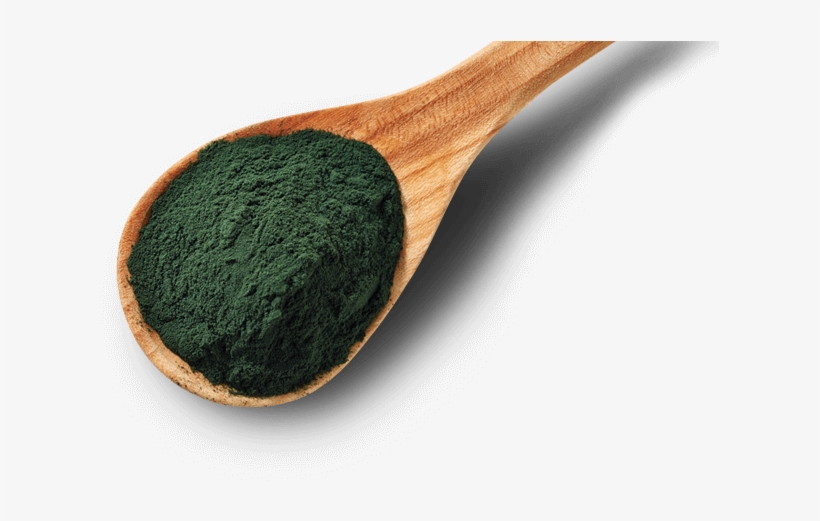 Pagelines Spirulina My Spoon - Spirulina Png - Free Transparent PNG ...