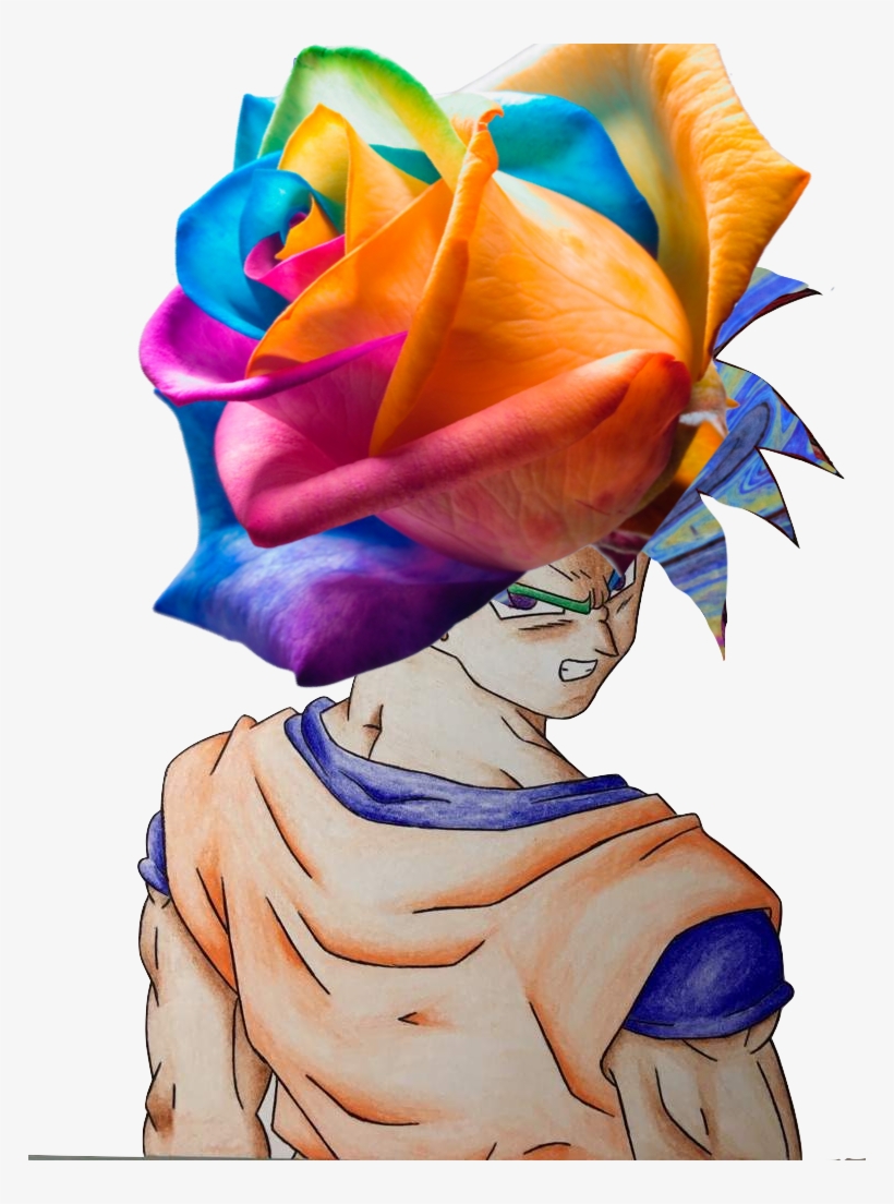 Gokus Final Form Rainbow Rose - Free Transparent PNG Download - PNGkey