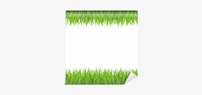 Ecology Border - Free Transparent PNG Download - PNGkey