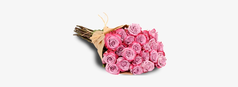 Lavender Roses - Lavender - Free Transparent PNG Download - PNGkey