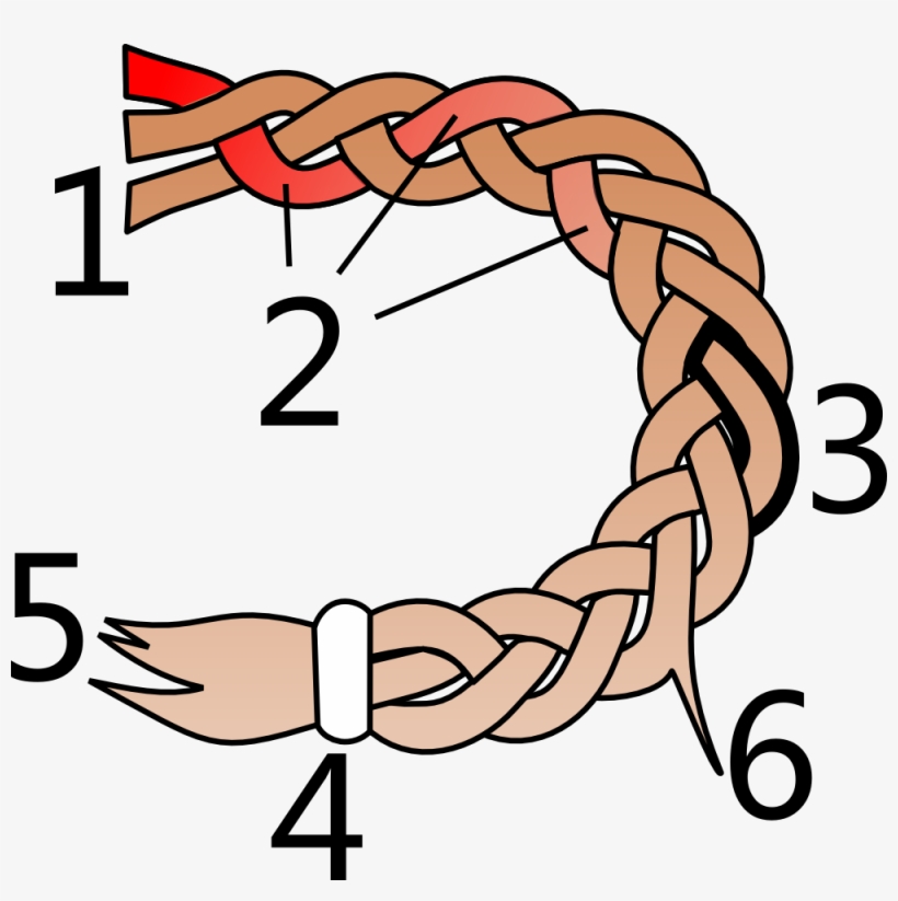 Parts Of A Hair Braid - Parts Of A Braid - Free Transparent PNG ...