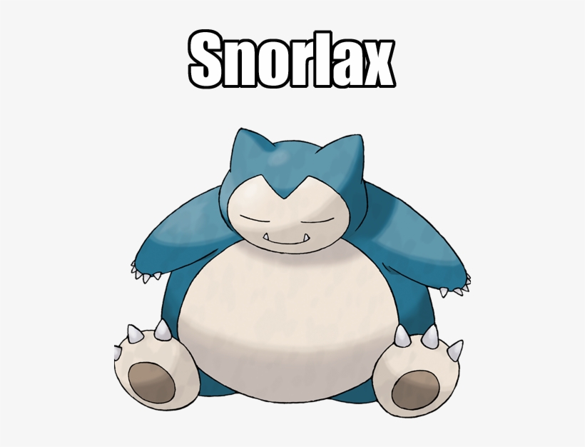 Keep Reading - Pokemon Bear - Free Transparent PNG Download - PNGkey