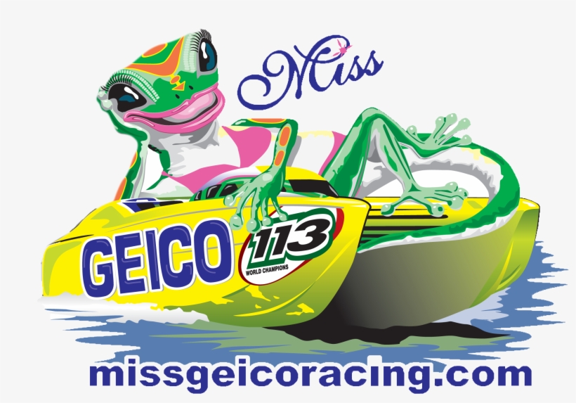 Miss Geico Racing - Proboat Miss Geico 17 Decals - Free Transparent PNG ...