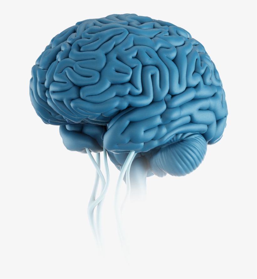 Back To Top - Illustration - Free Transparent PNG Download - PNGkey