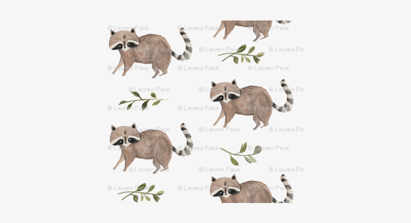 Watercolor Raccoon - Watercolor Baby Raccoon - Free Transparent PNG ...