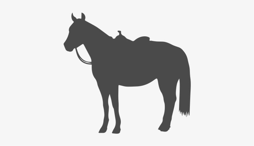 Pleasure Horse - Western Horse Silhouette - Free Transparent PNG ...