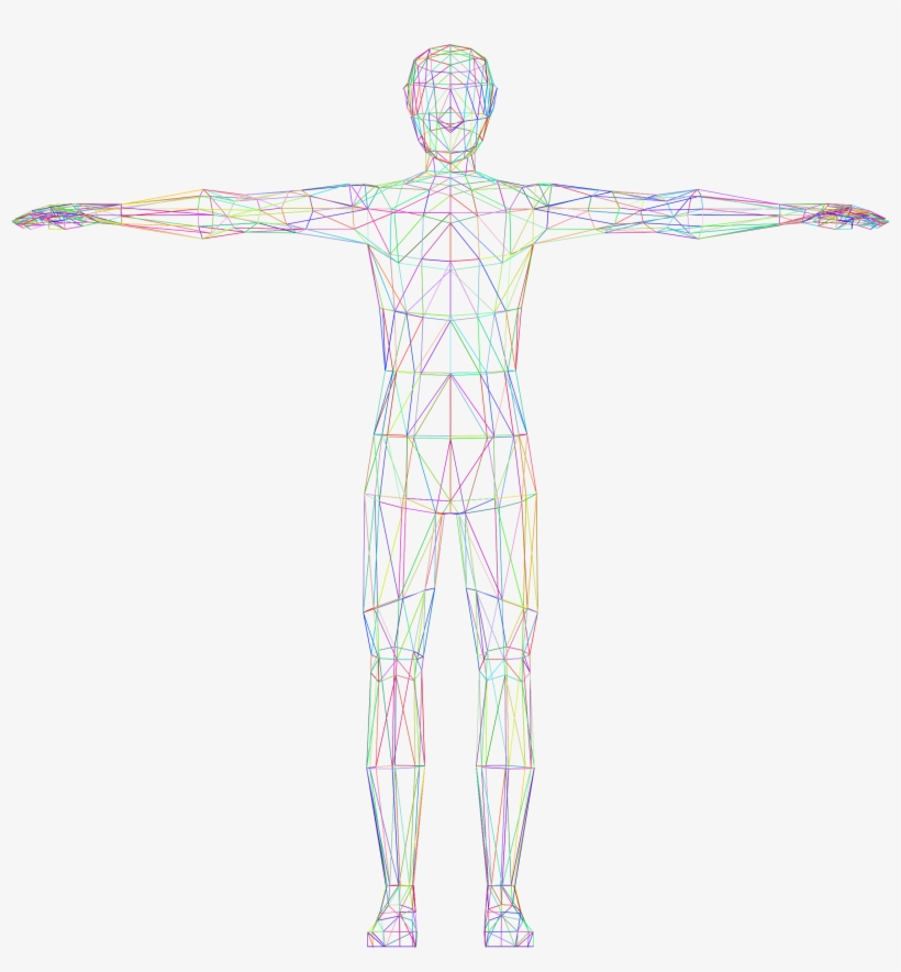 Go To Image - Human Body Wire Frame - Free Transparent PNG Download ...