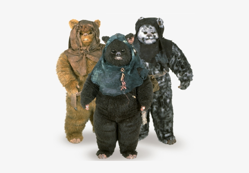 Ewoks Encyclopedia - Star Wars Evoc - Free Transparent PNG Download ...