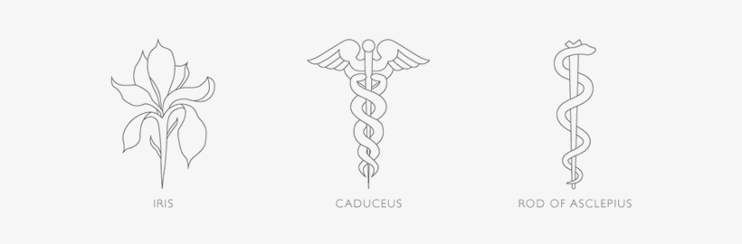 In The Meso Logo, I Chose To Incorporate The Serpent - Rod Of Asclepius ...