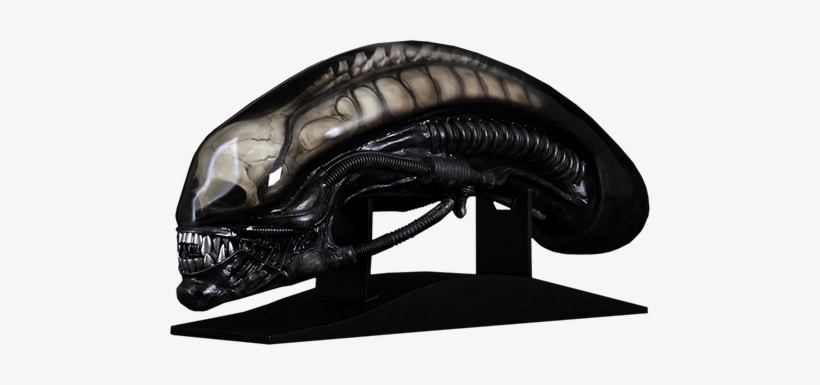 Gigers Alien Life Size Head Prop Replica Gigers Alien - Cool Props ...