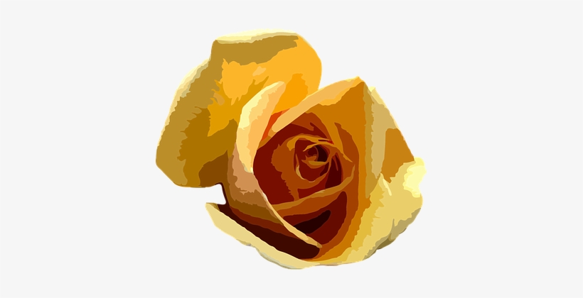 Flower Floral Botanical Plant Nature Botan - Yellow Rose Journal By ...