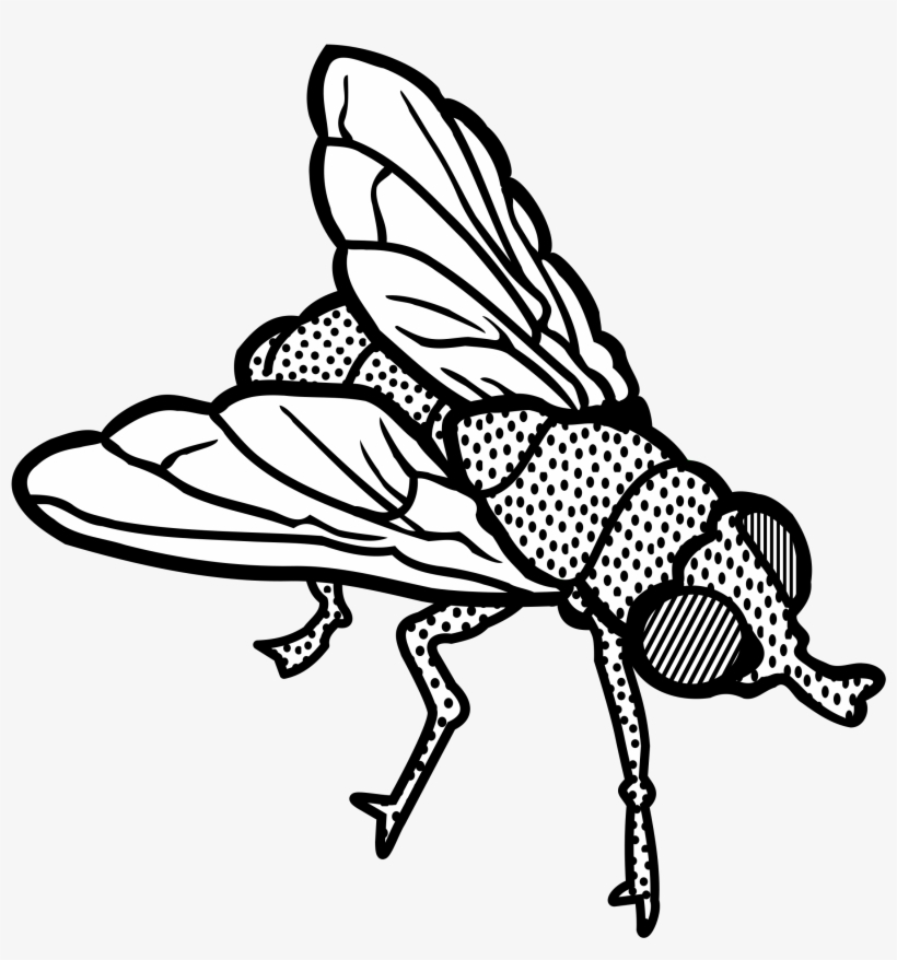 This Free Icons Png Design Of Fly - Free Transparent PNG Download - PNGkey