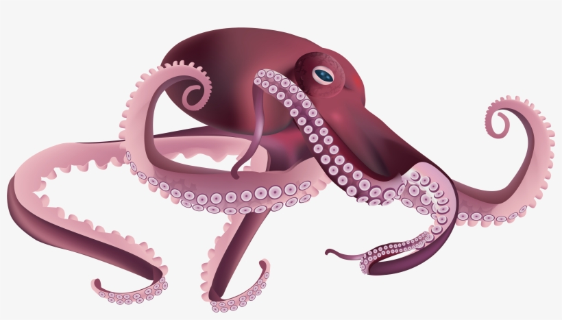 Octopus Png - Free Transparent PNG Download - PNGkey