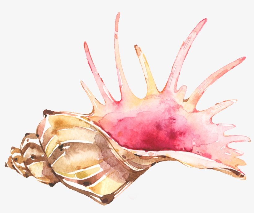 Whichever Package You Choose, You Will Receive Some - Watercolor ...