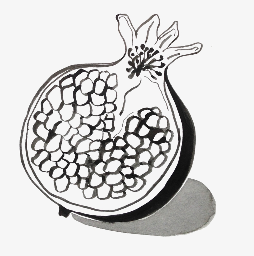 Pomegranate Drawing At Getdrawings - Pomegranate Drawing Transparent ...