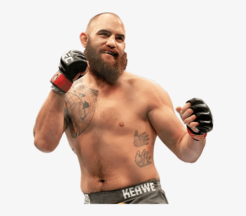 Sky Ufc Fighter 2 - Fanatics Authentic Travis Browne Ultimate Fighting ...