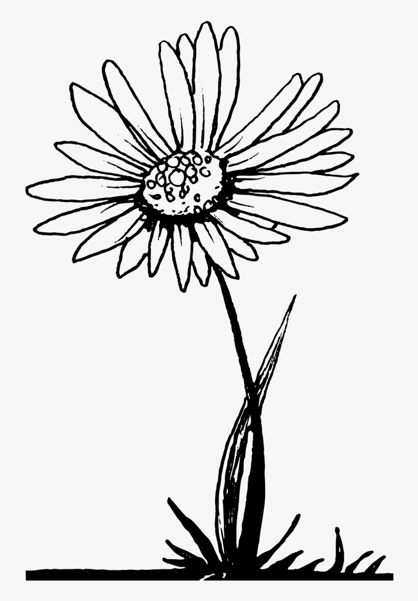 Design - Line Art - Free Transparent PNG Download - PNGkey