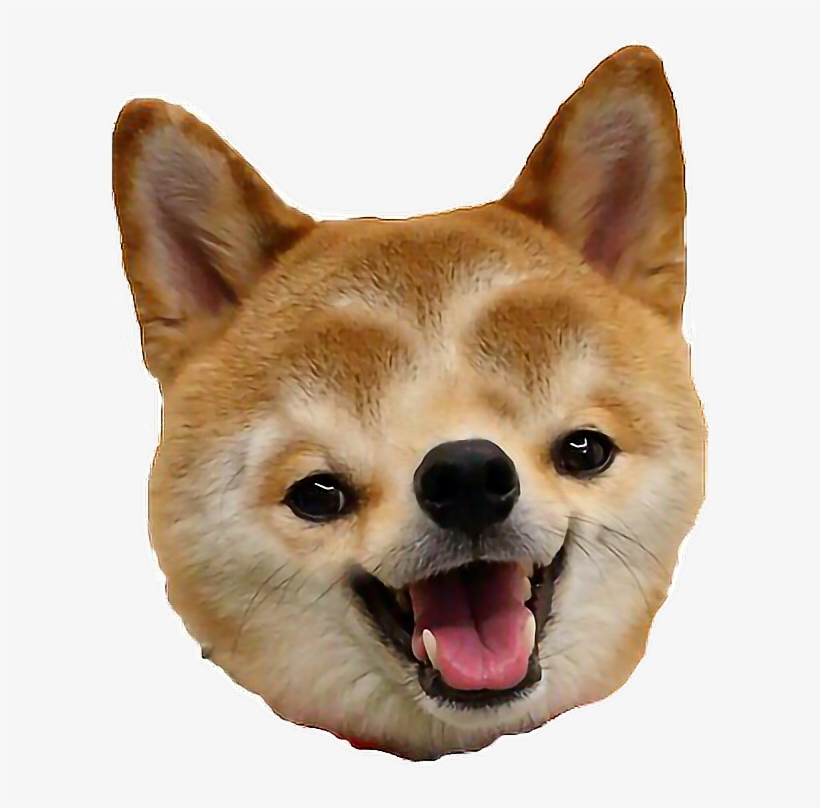 Doggo Transparent - Transparent Background Doggo Png - Free Transparent ...