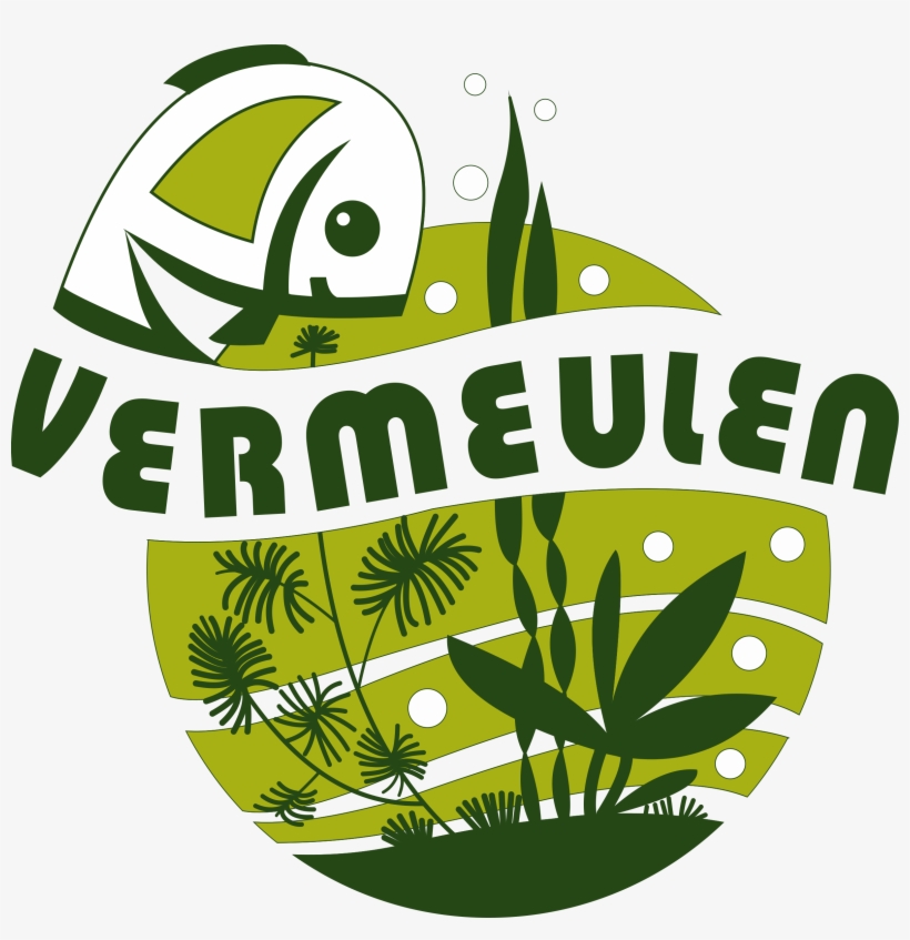 Click To View In Fullscreen - Terrarium - Free Transparent PNG Download ...