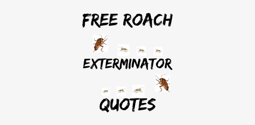 What Is The Best Cockroach Repellent - Quotes From My Kid By Om Yasmeen ...