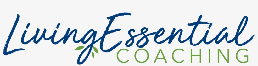 Babe Ruth Cursive Name - Free Transparent PNG Download - PNGkey