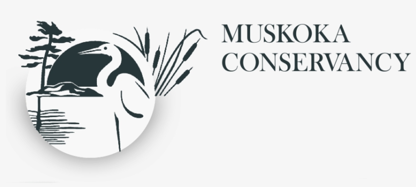 Muskoka Conservancy Logo - Muskoka Conservancy - Free Transparent PNG ...
