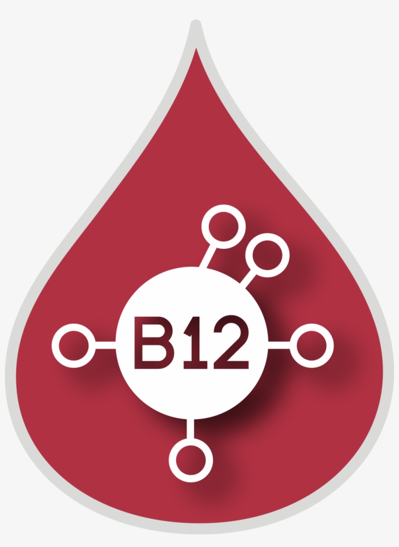 Iconsredb12 - Icon - Free Transparent PNG Download - PNGkey