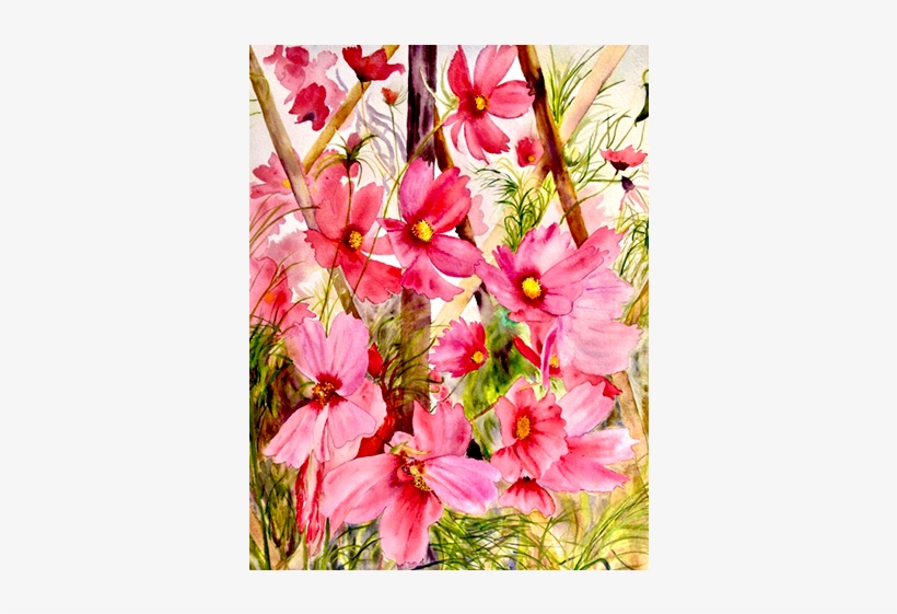 The Life Cycle Of Cosmos - Biological Life Cycle - Free Transparent PNG ...