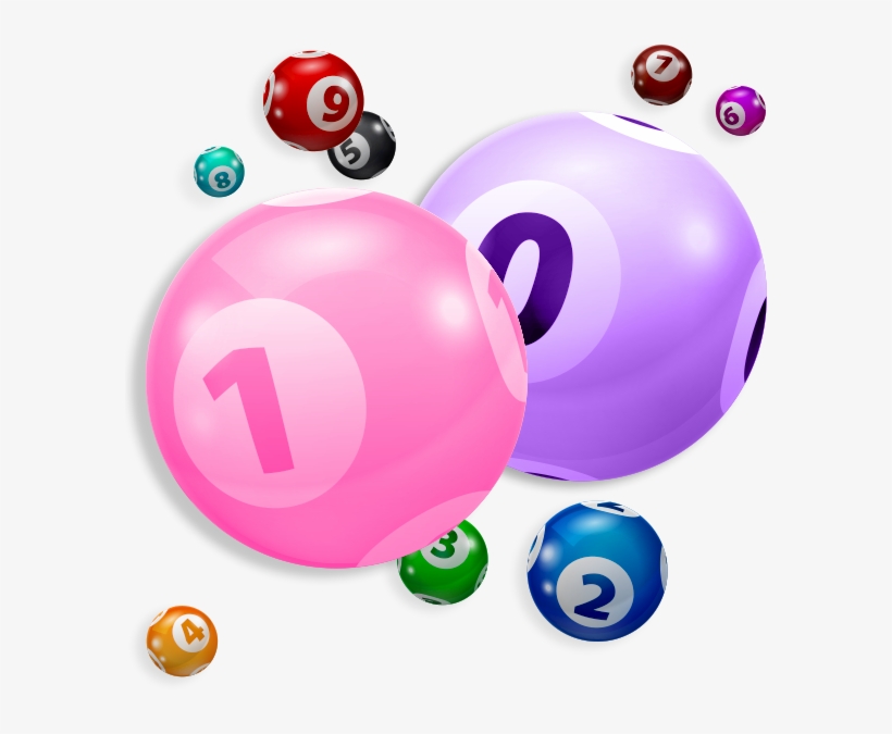 Bingo - Bingo Png - Free Transparent PNG Download - PNGkey