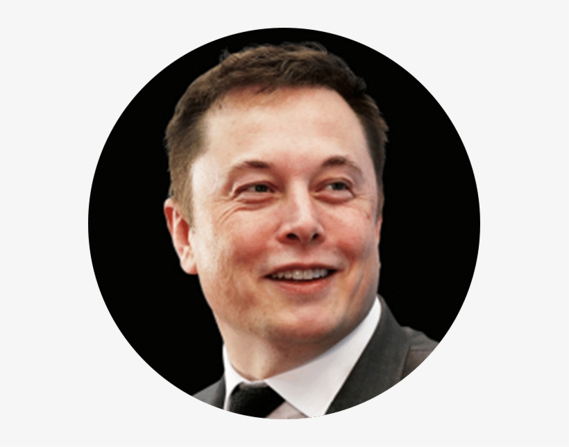 Elon Musk - Vernon Unsworth - Free Transparent PNG Download - PNGkey